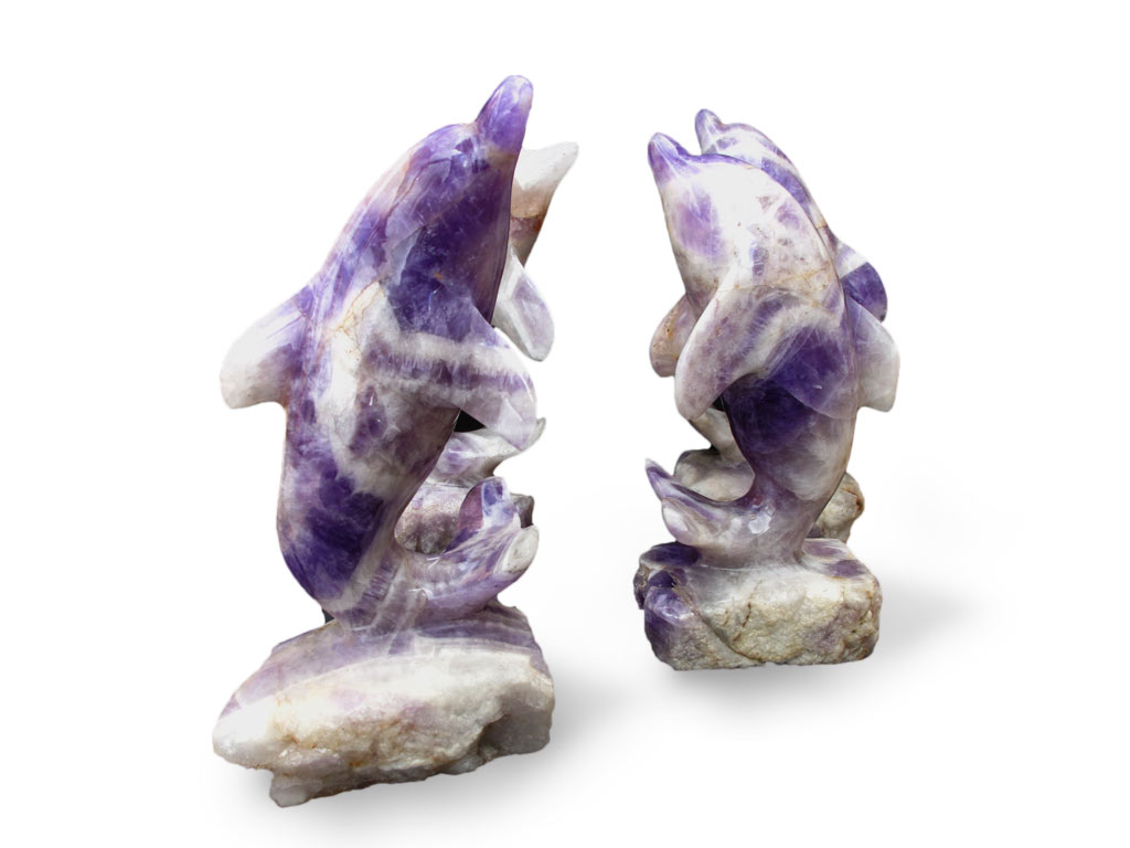 Banded Amethyst Curl Tail Dolphin