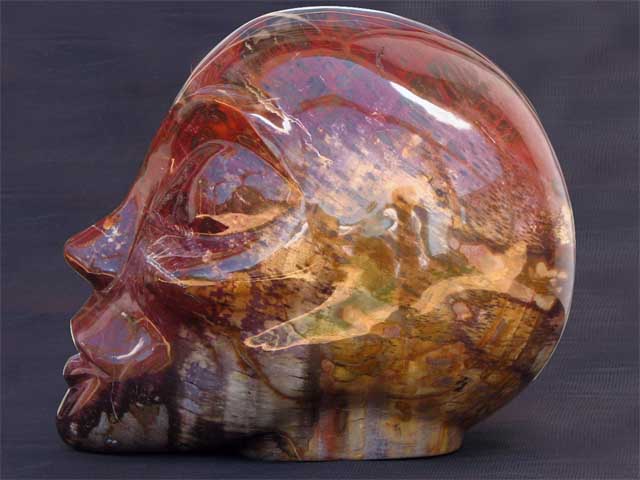 Petrified Wood Alien Face Carving
