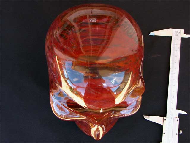 Petrified Wood Alien Face Carving