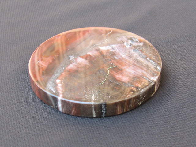 Petrified Wood Coasters
