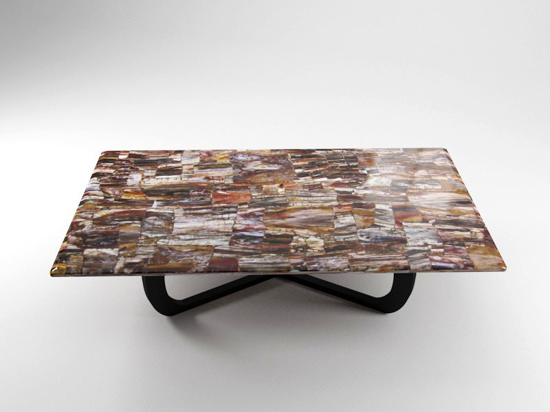 Petrified Wood Table Top