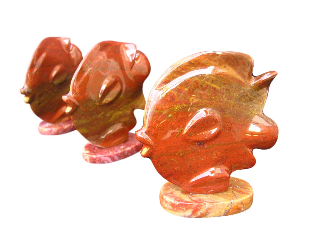 Chestnut Jasper Sunfish