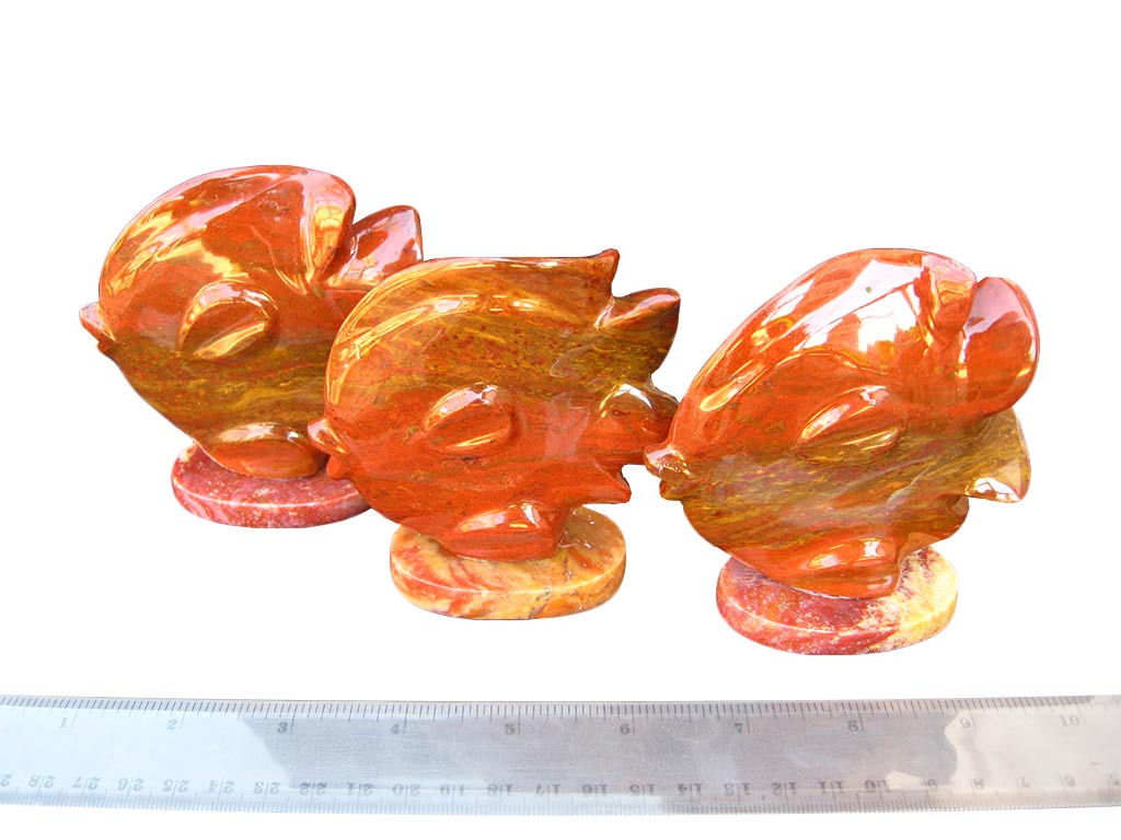 Chestnut Jasper Sunfish