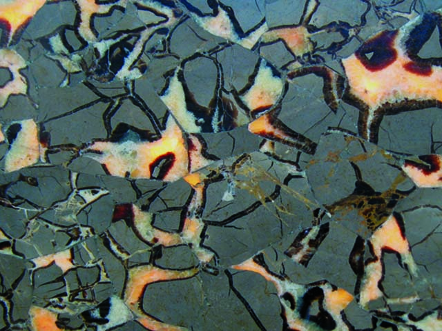 Septarian Table Top (140 x 83 x 3 cm)